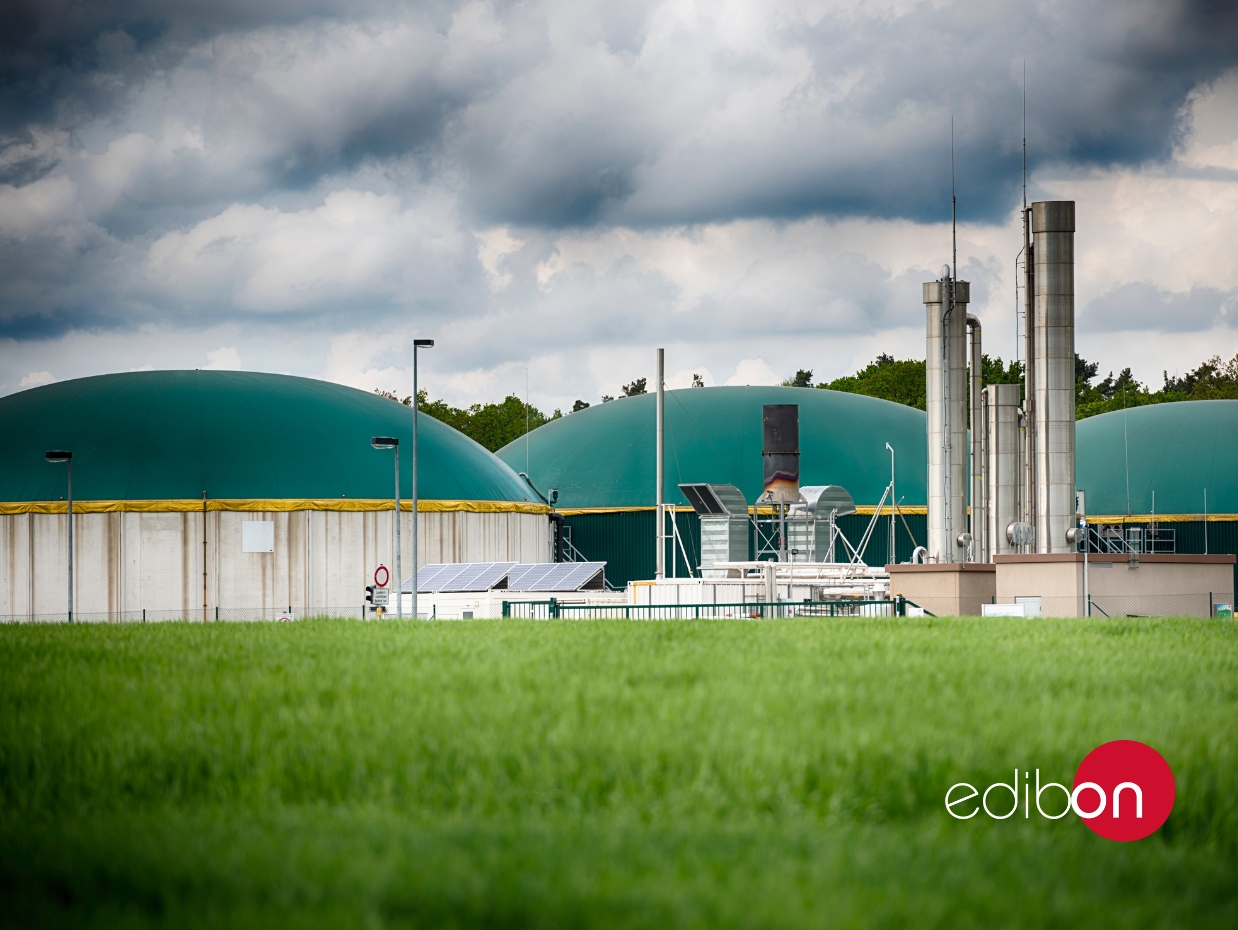 Biomass: A Path Toward Sustainability and Energy Innovation - Blog EDIBON